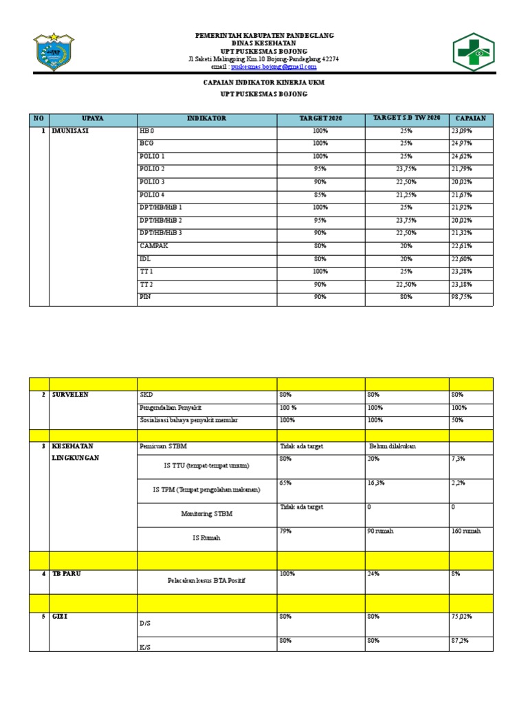 Data Capaian Kinerja Ukm Puskesmas | PDF