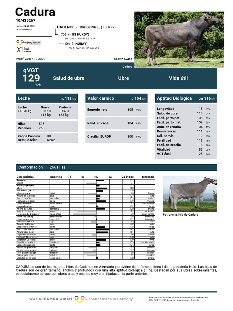 Untitled 2 | PDF | Vacas | Nutrición