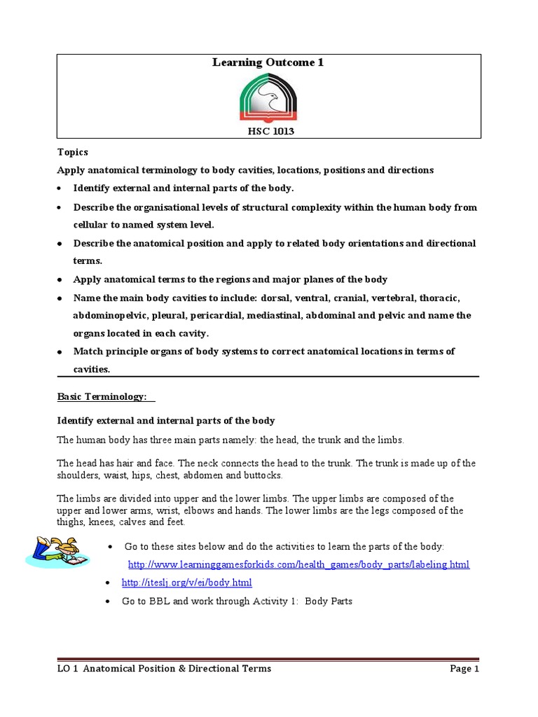 LO 1 Anatomical Positions NOTES | PDF | Anatomical Terms Of Location ...