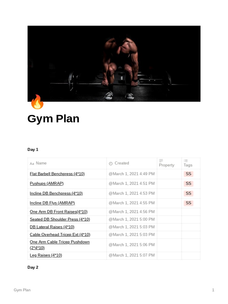 Gym Plan | PDF | Strength Training | Physical Exercise