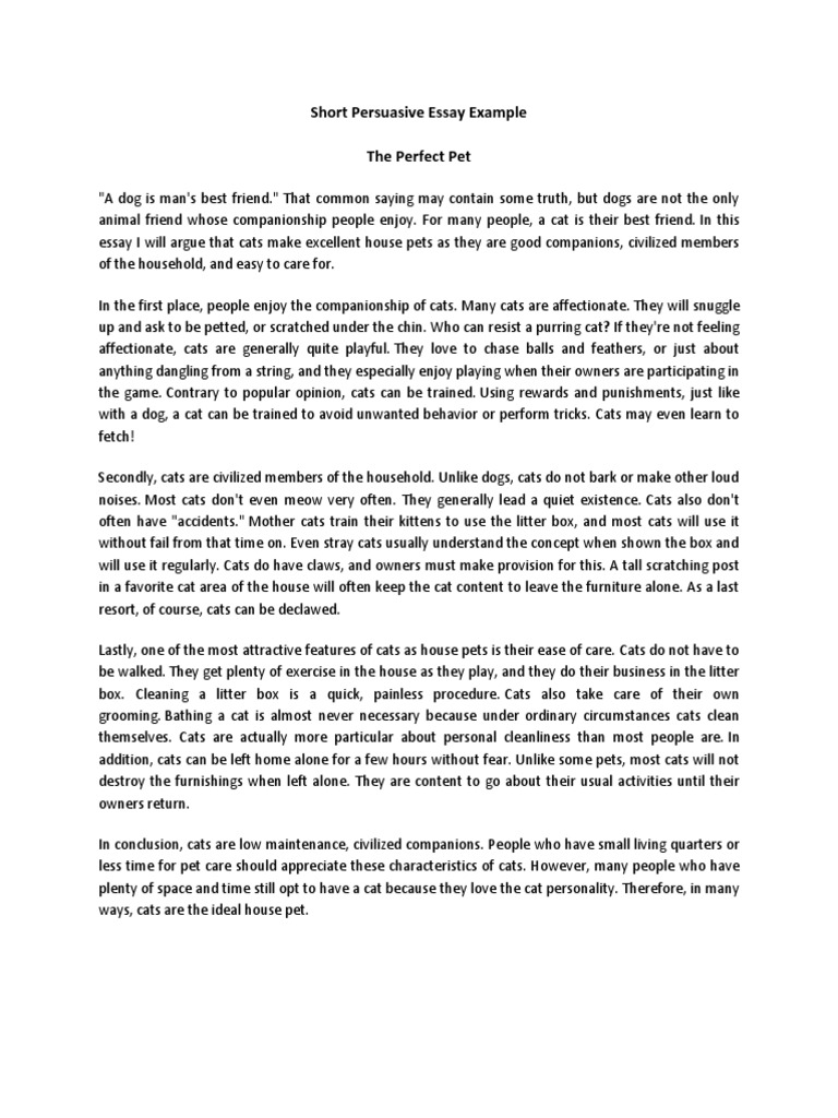 Short Persuasive Essay Example | PDF | Cats | Domesticated Animals