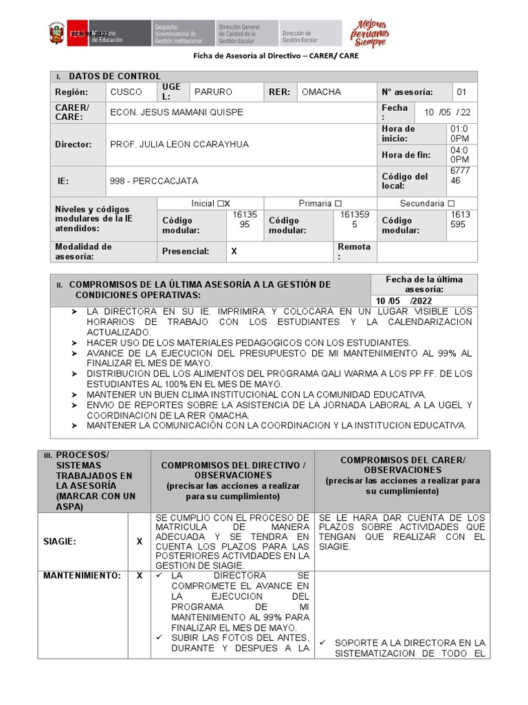 998-Ficha de Asesoría Al Directivo - CARER - CARE 18-02-2022 | PDF