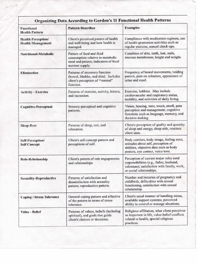 Funda Gordons 11 Functional Health Patterns | PDF