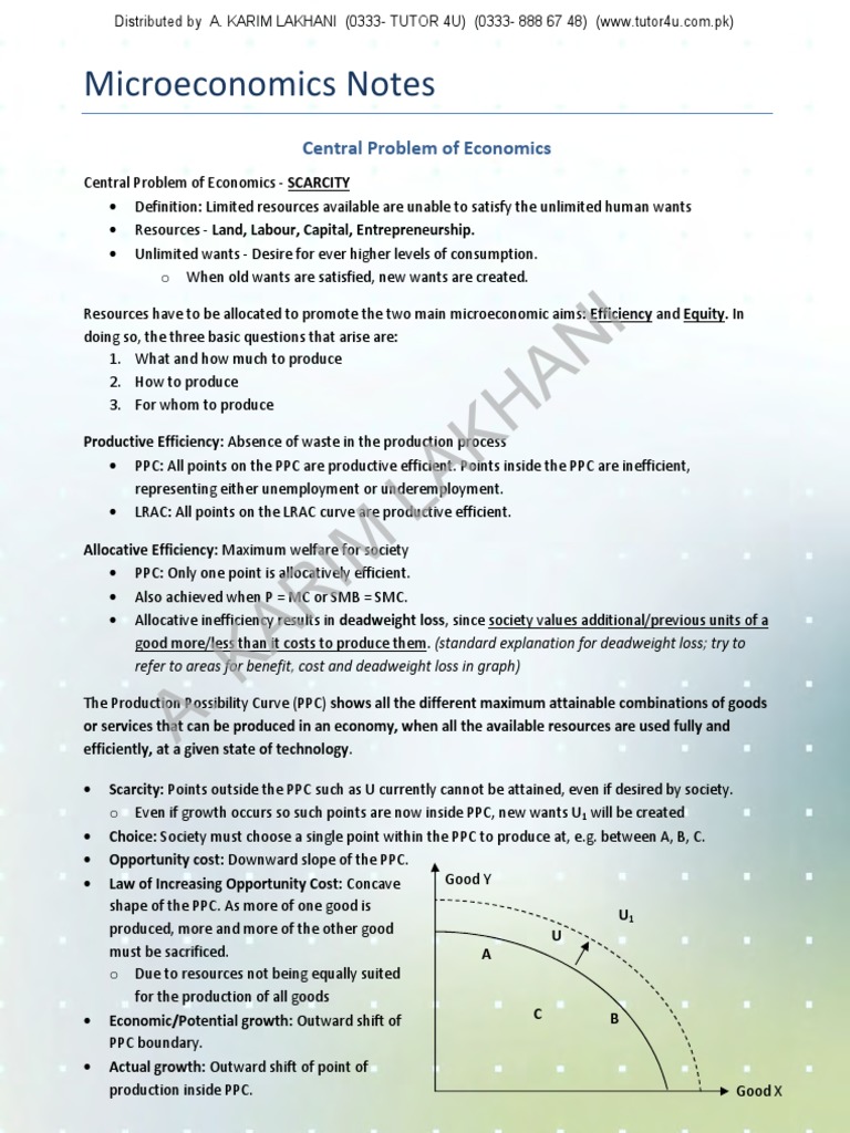 AL Economics Notes (Ver 3) by A Karim Lakhani | PDF | Elasticity ...