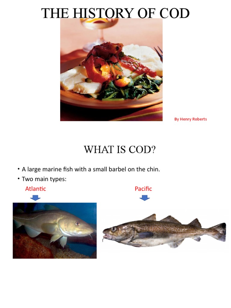 The History of Cod | PDF