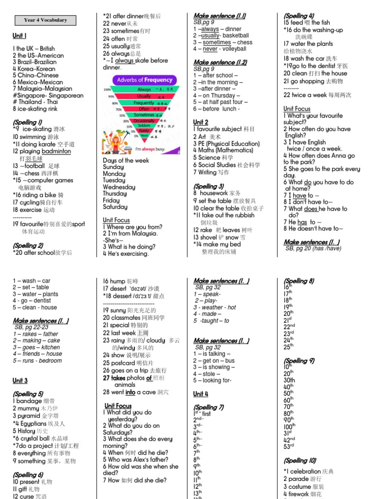 Year 4 Vocabulary 2022 | PDF