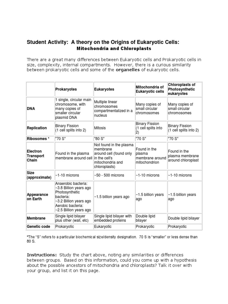 Endosymbiosis-Scl Activity | PDF | Cell (Biology) | Eukaryotes