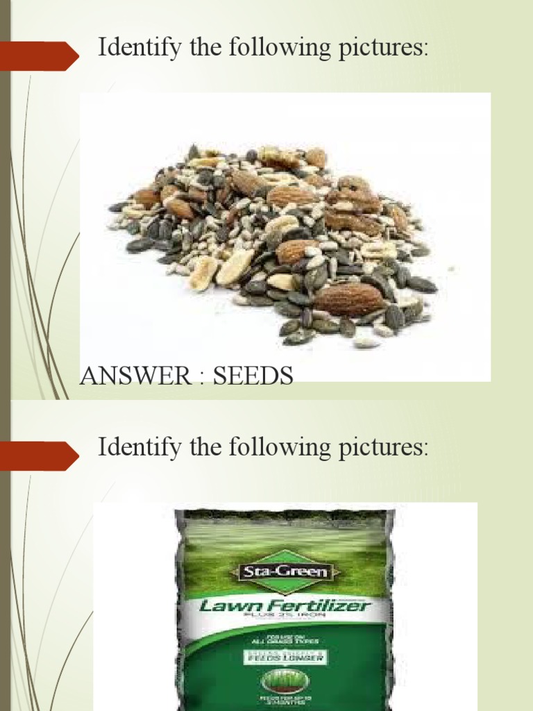 6 Farm Inputs 2020 | PDF | Plough | Tillage