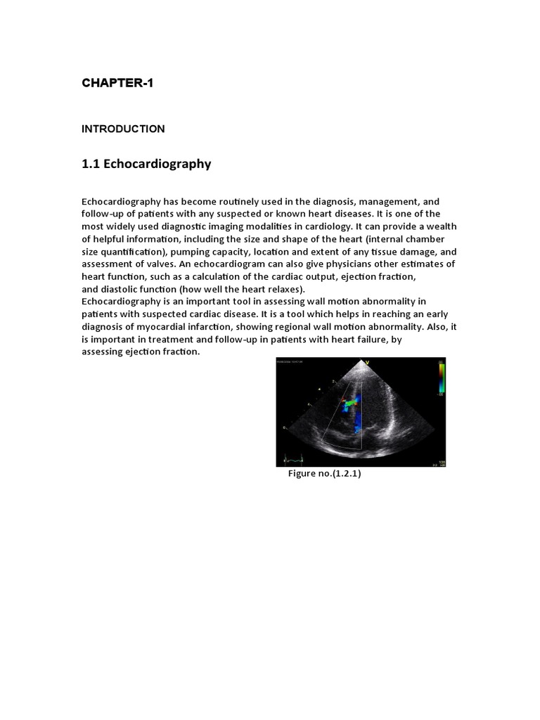 Chapter 1 | PDF | Echocardiography | Medical Ultrasound