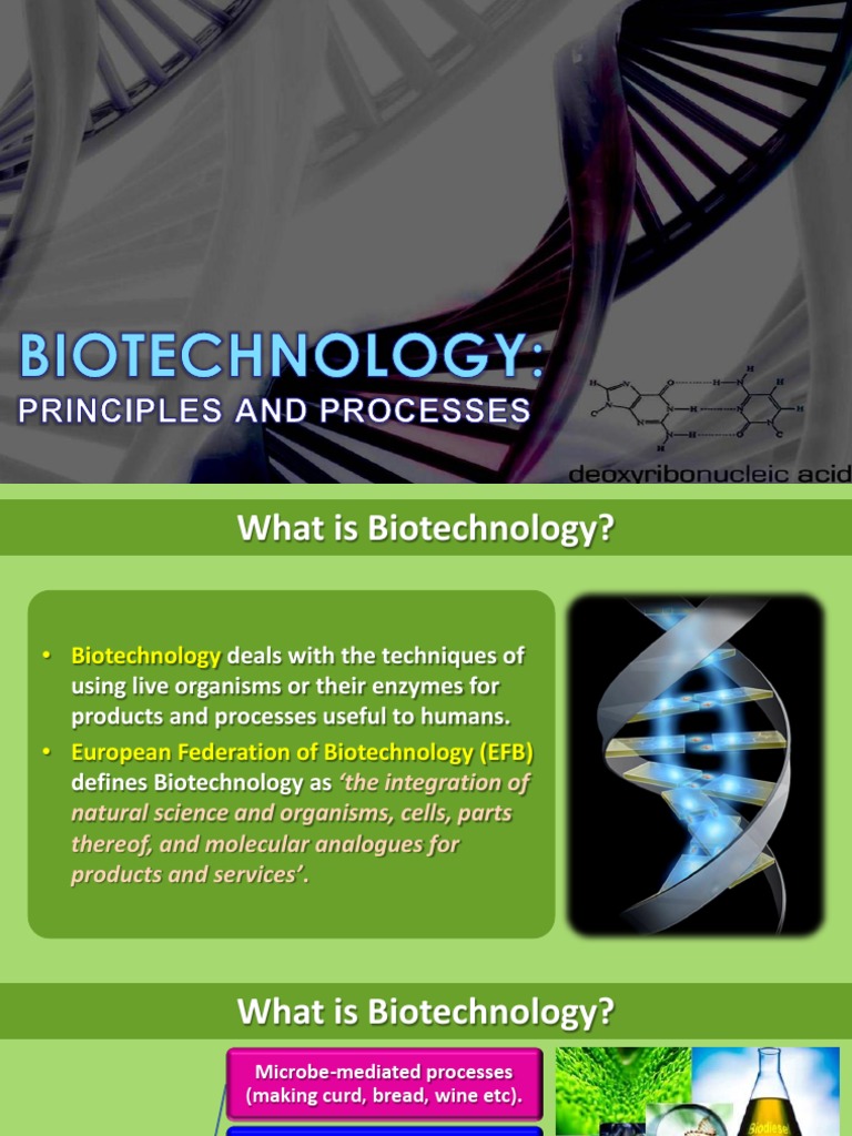 Biotechnology Principles and Processes | PDF | Molecular Cloning ...