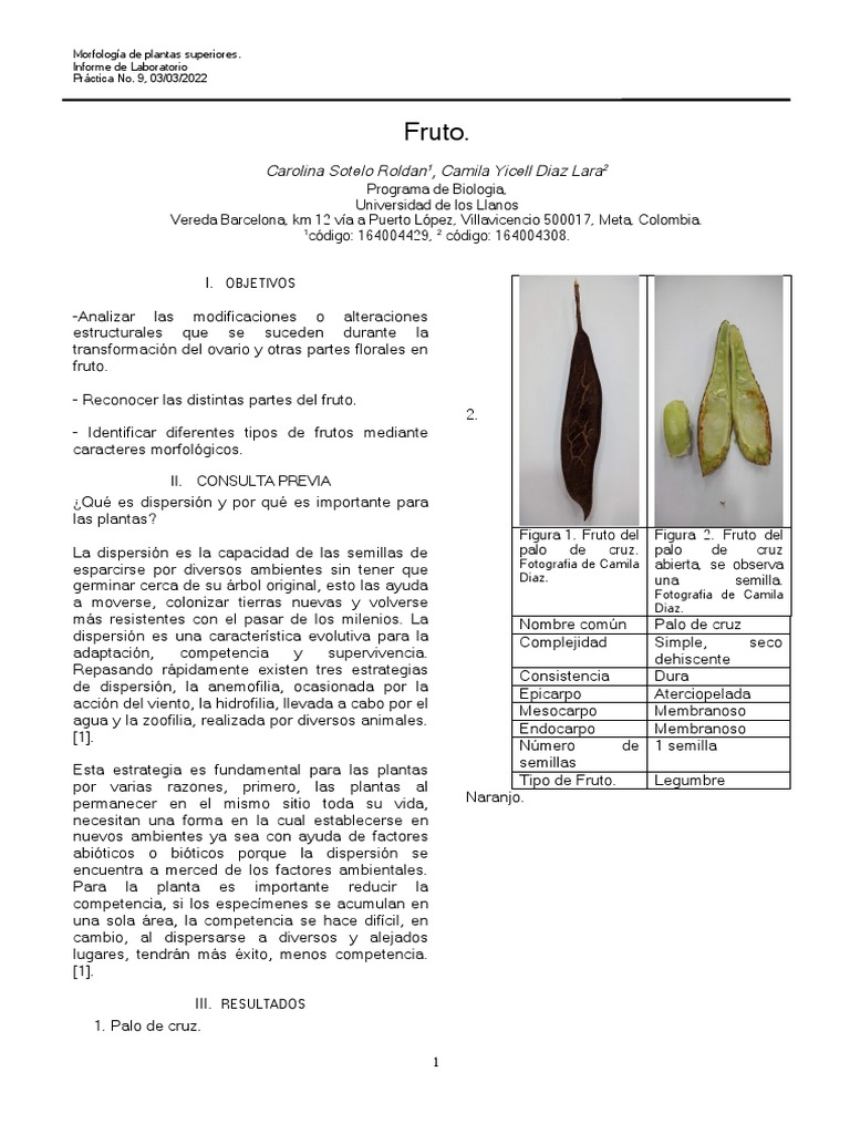 Tipos de Frutos en Plantas Superiores | PDF | Fruta | Botánica