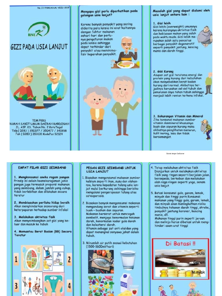 Leaflet Gizi Lansia | PDF
