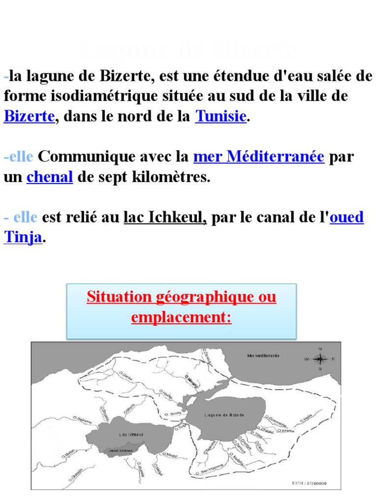 Écosystème de la lagune de Bizerte | PDF | Salinité | Plaie