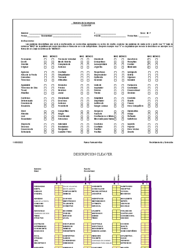 Test Cleaver Plantilla | PDF