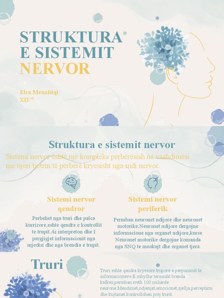 Struktura e Sistemit Nervor | PDF