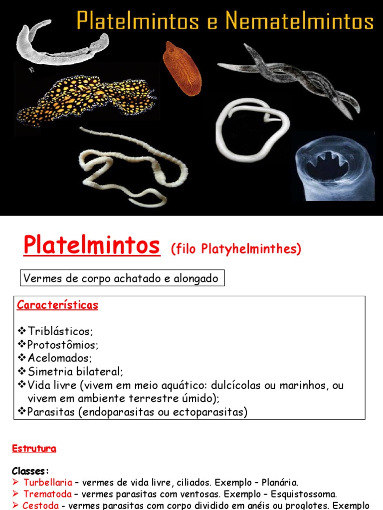 Platelmintos e Nematelmintos | Download grátis PDF | Nematoda | Biologia