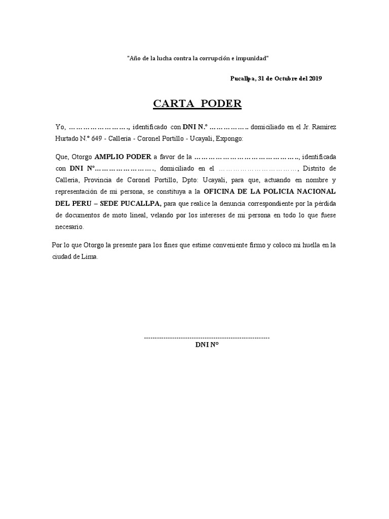 Carta Poder Modelo Ok | PDF
