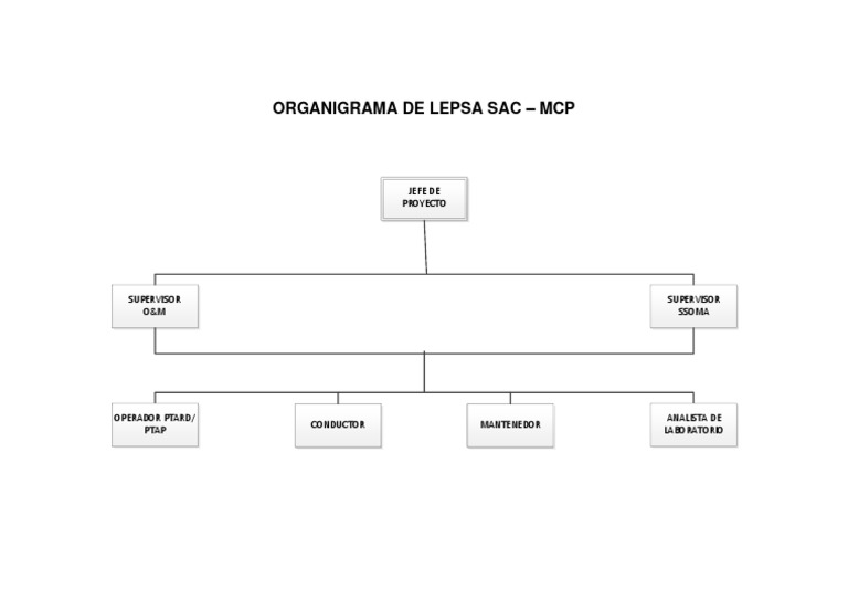 Organigrama de Lepsa Sac-Mcp | PDF