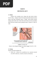 Bronkitis Akut Pdpi | PDF