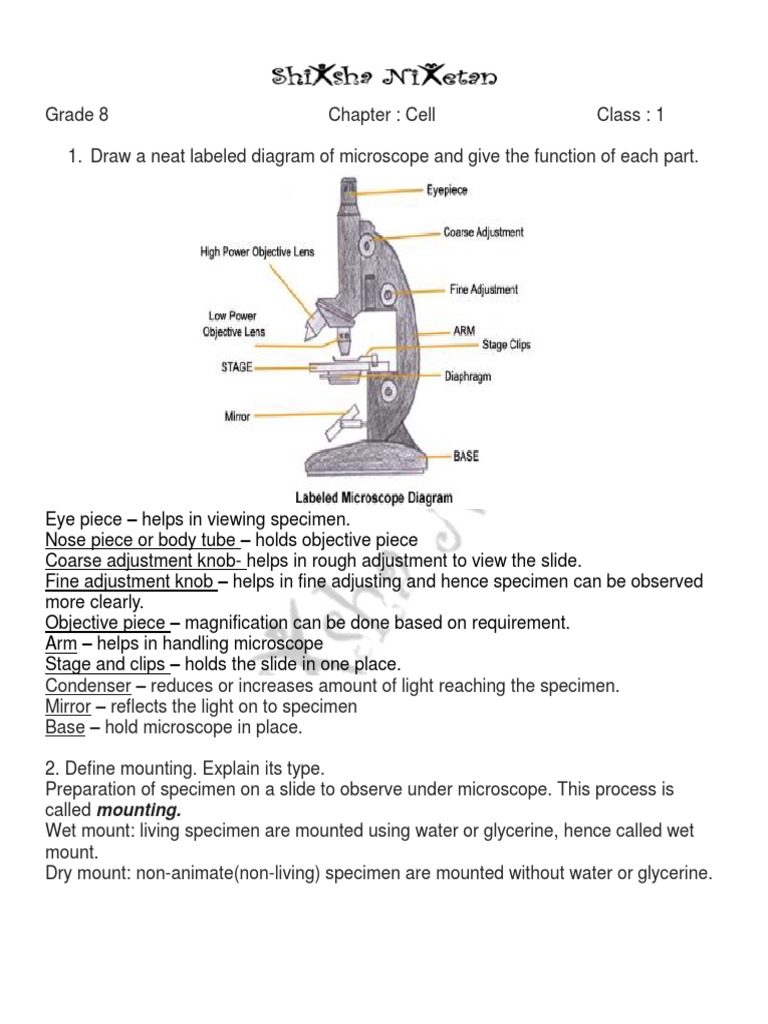 Cell Lesson Notes | PDF | Cell (Biology) | Cell Nucleus