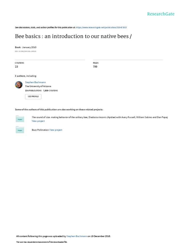 Bee Basics An Introduction To Our Native Bees | PDF