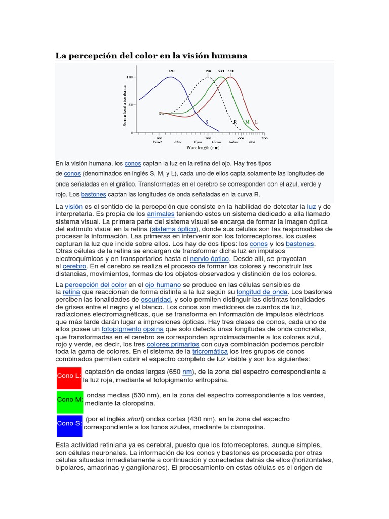 Percepción del color en la visión humana | PDF | Color | Percepción visual