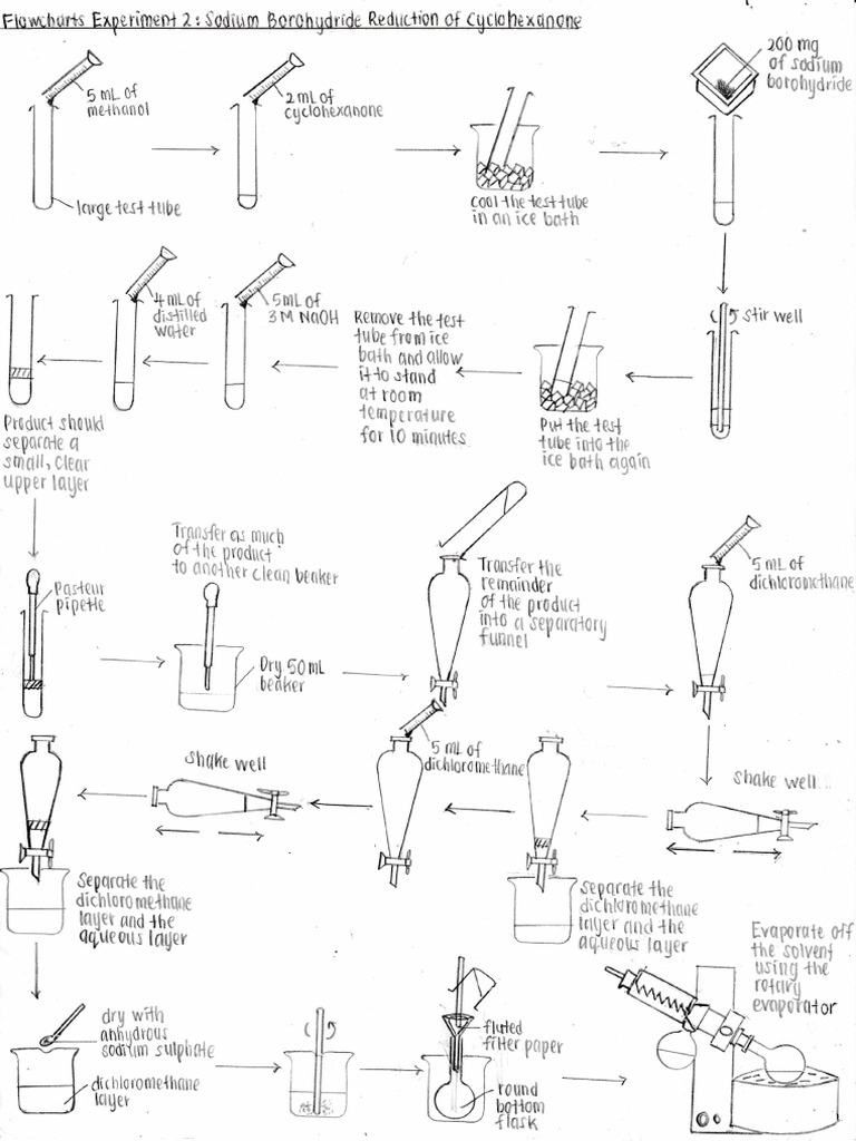 Flowchart Experiment 2 - Sodium Borohydride Reduction of Cyclohexanone ...