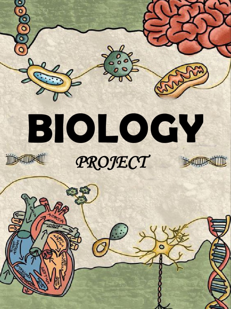 Bio Project | Download Free PDF | Pupa | Fly