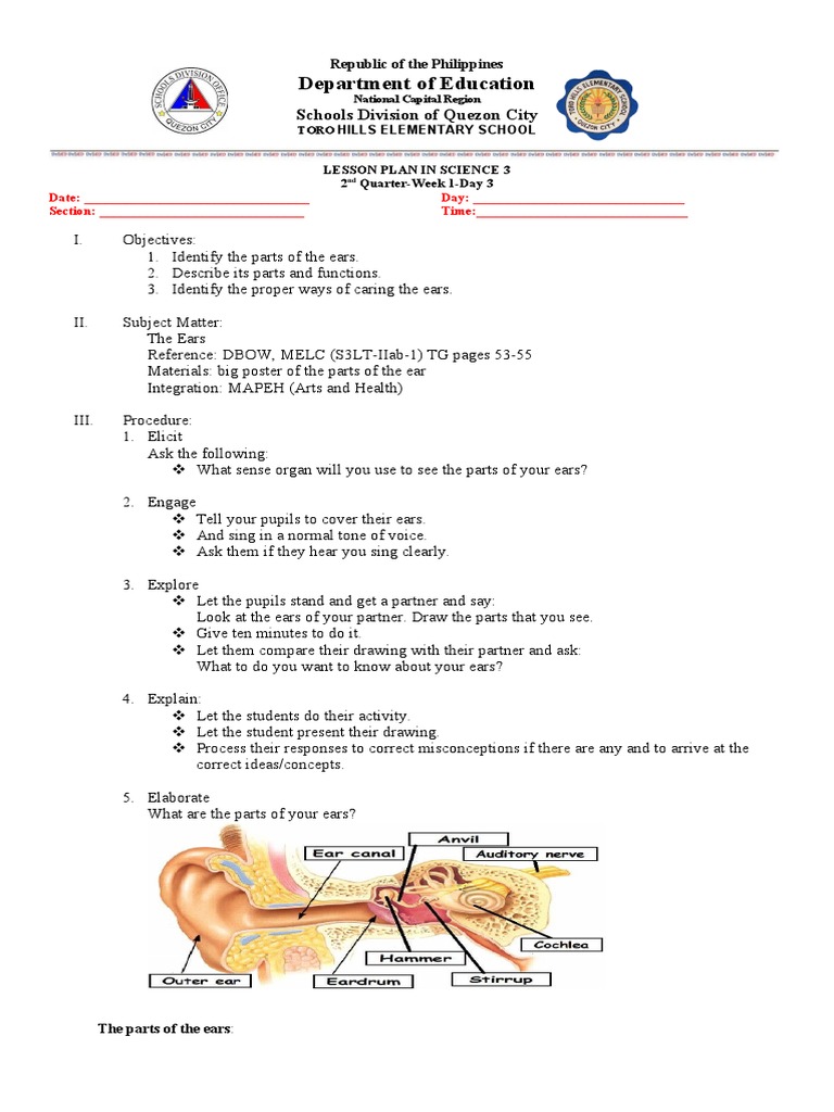 Parts of the Ears & Proper Care | PDF | Ear | Auditory System