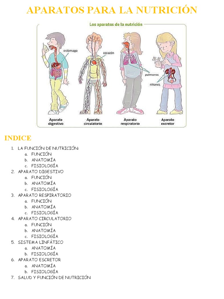 Aparatos para La Nutrición | PDF | Sistema digestivo humano | Digestión