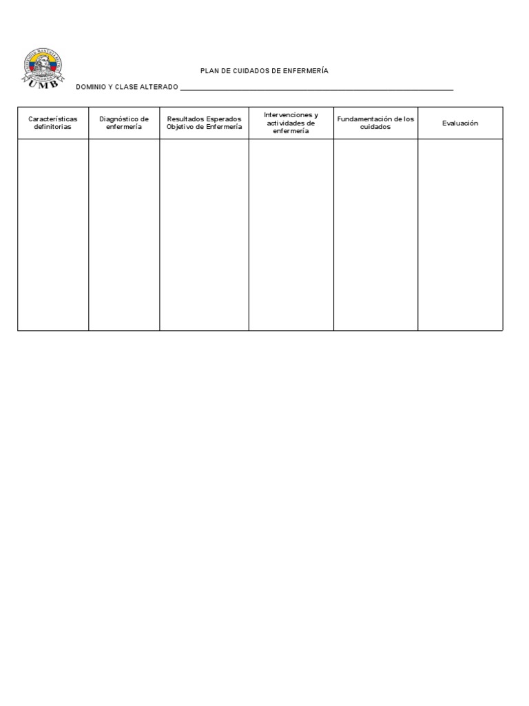 Formato Plan de Cuidados | PDF