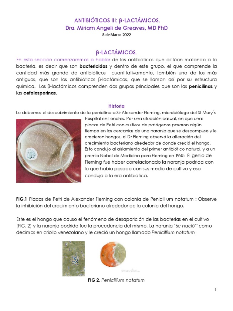 ATB 3. Betalactamicos 2022.versión Final | PDF | Penicilina | Beta lactamasa