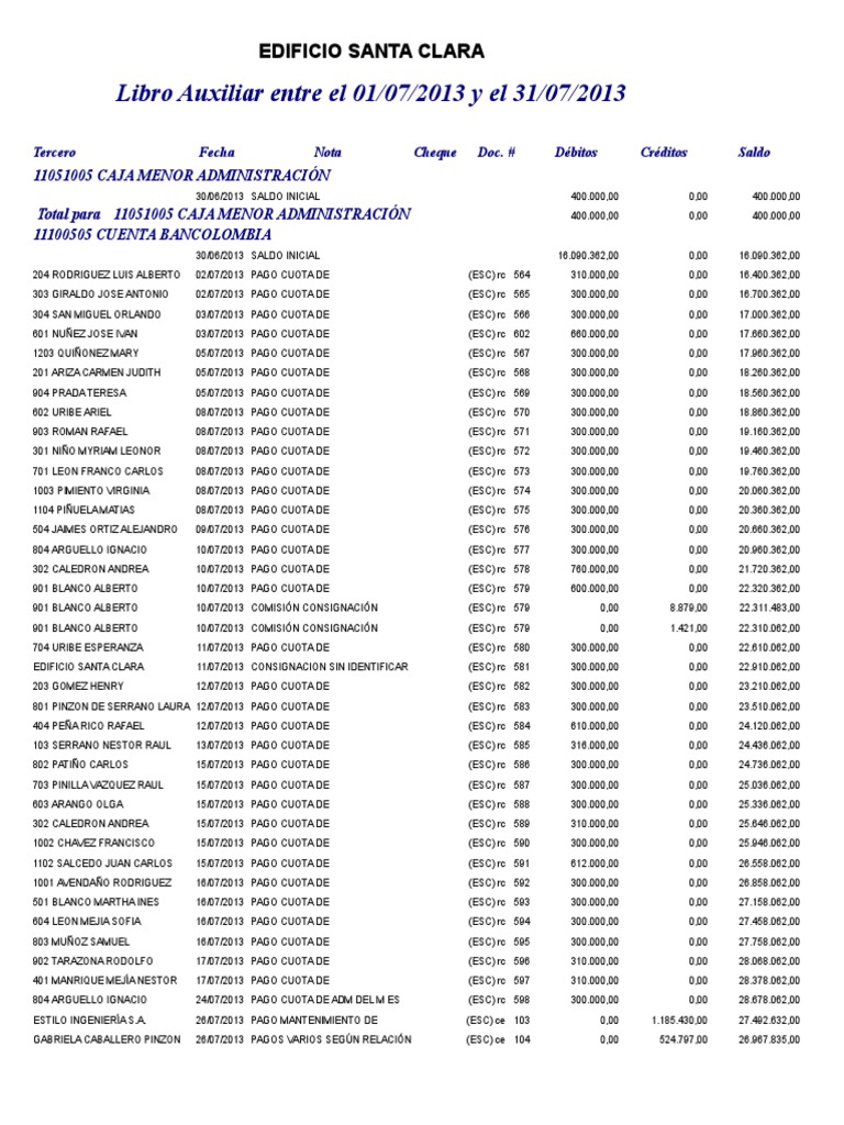 Libro Auxiliar | PDF