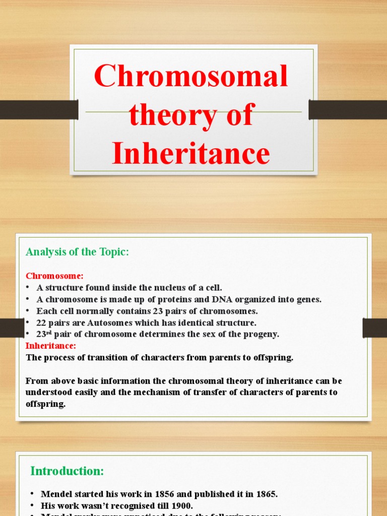 Chromosomal Theory of Inheritance | PDF | Chromosome | Gene