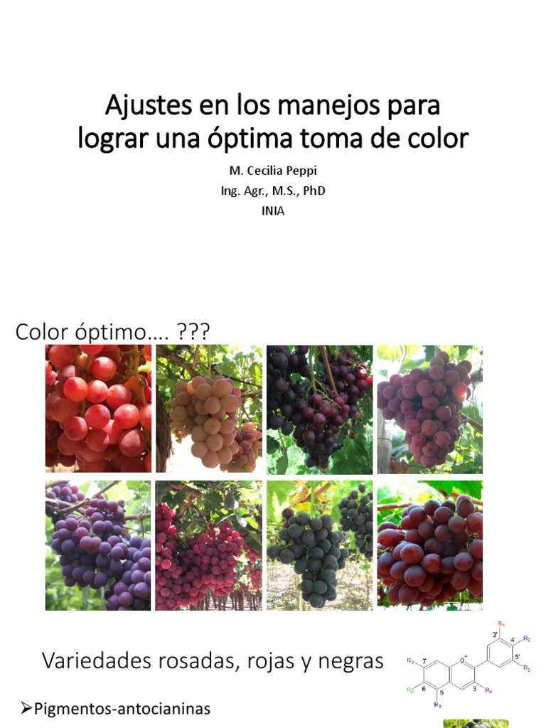 10 Color Ica 2019 Cecilia Peppi | PDF | Química