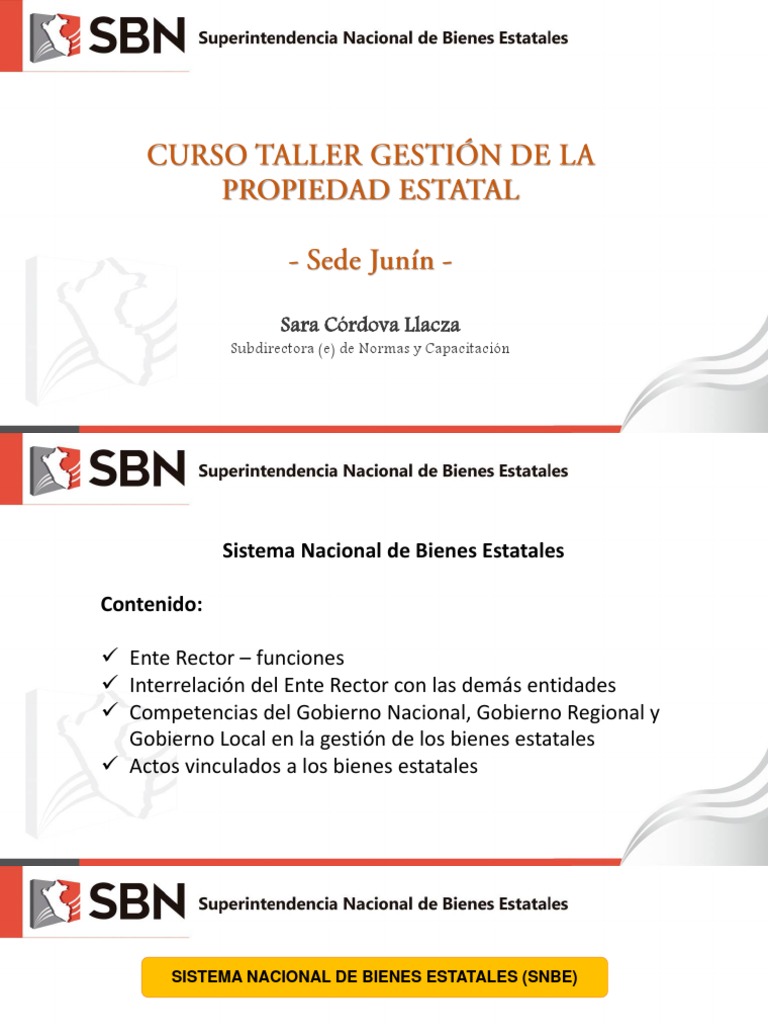 1 Sistema Nacional de Bienes Estatales | PDF | Propiedad | Regulación