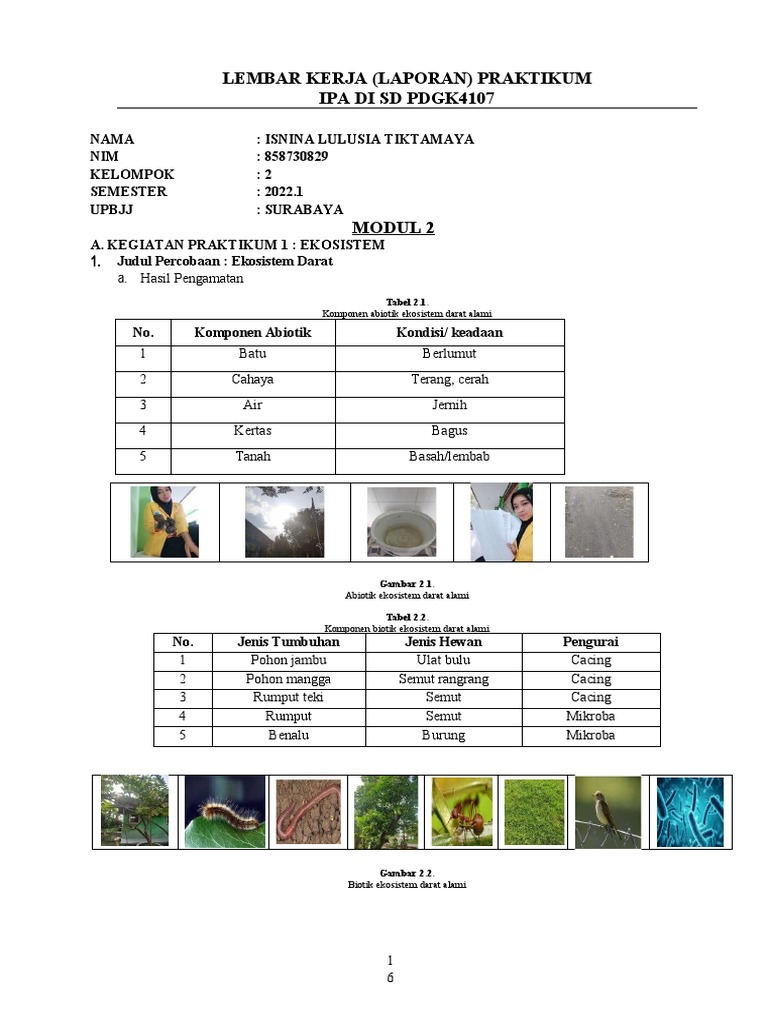 Isnina Lulusia Tiktamaya TT2 Praktikum Ipa | PDF