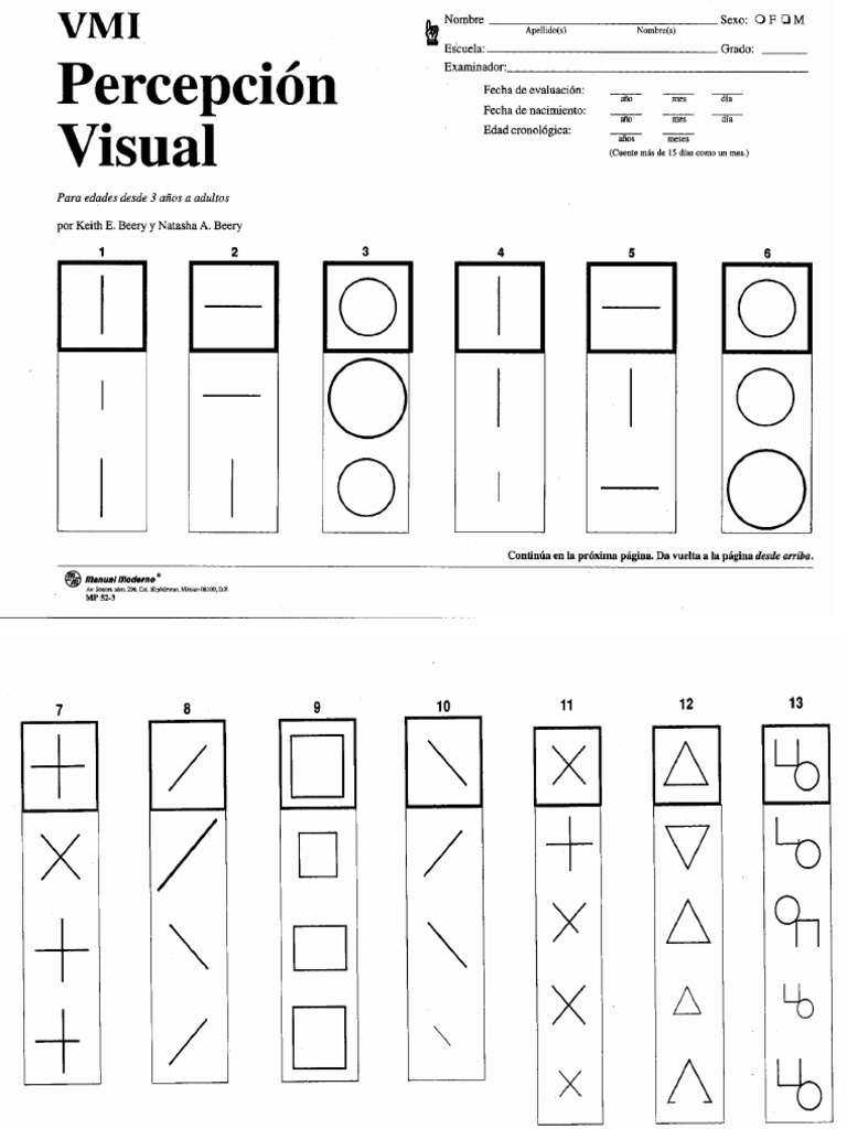VMI Percepcion Visual | PDF