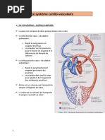 Anatomie et fonctions du péricarde | PDF | Aorte | Cœur