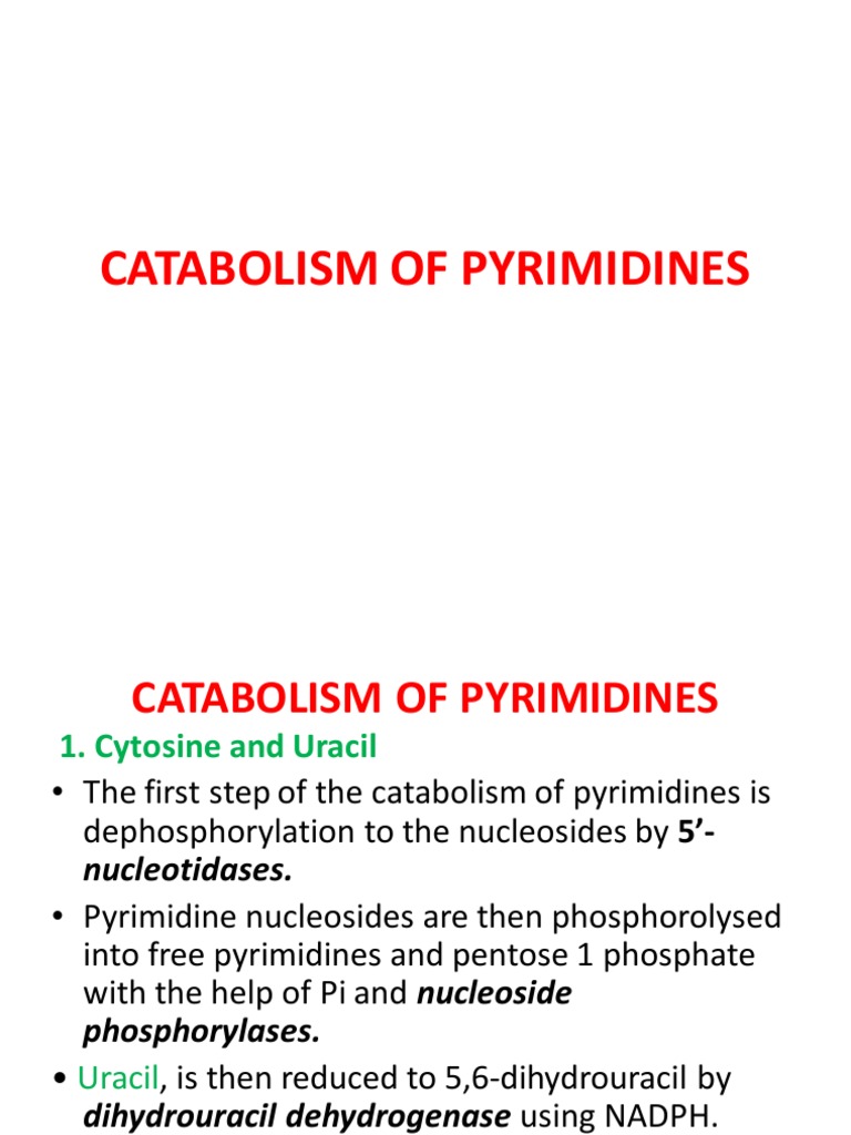 5 Catabolism of Pyrimidines | PDF