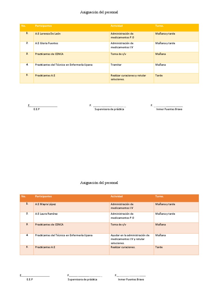 Asignación Del Personal | PDF