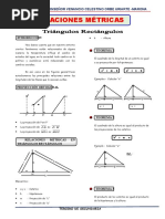 Relaciones Metricas en El Triangulo Rectangulo | PDF | Formas geométricas | Matemática Elemental