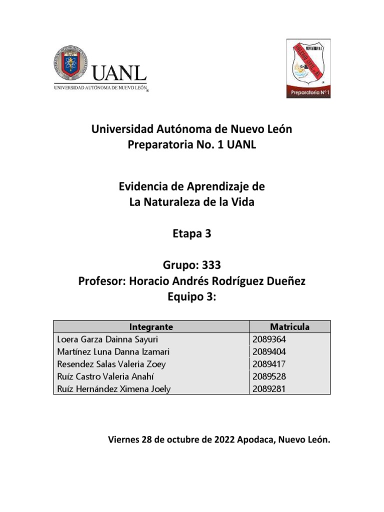 Equipo 3 - EV E3 - LNV | PDF