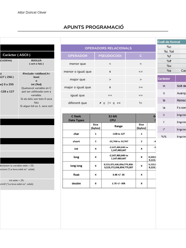 Apunts Programació | PDF