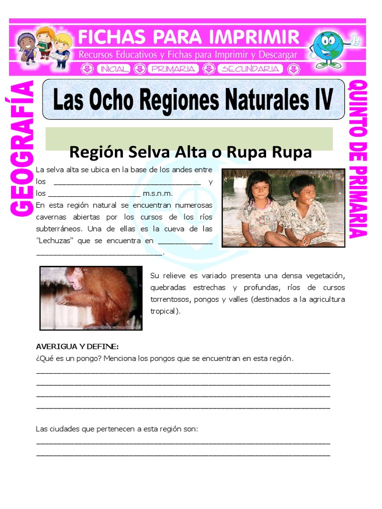 Región Rupa Rupa y Omagua para Quinto de Primaria | PDF | Entorno ...