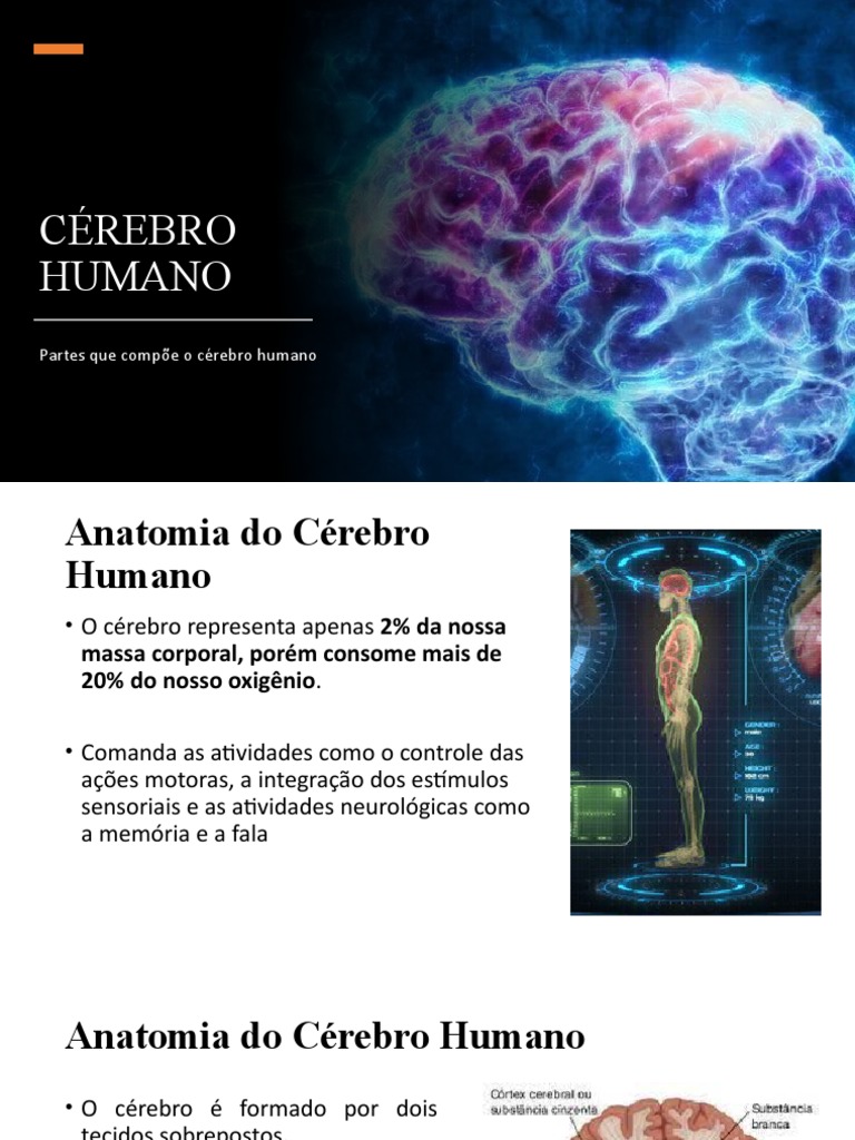 Cérebro Humano Pdf