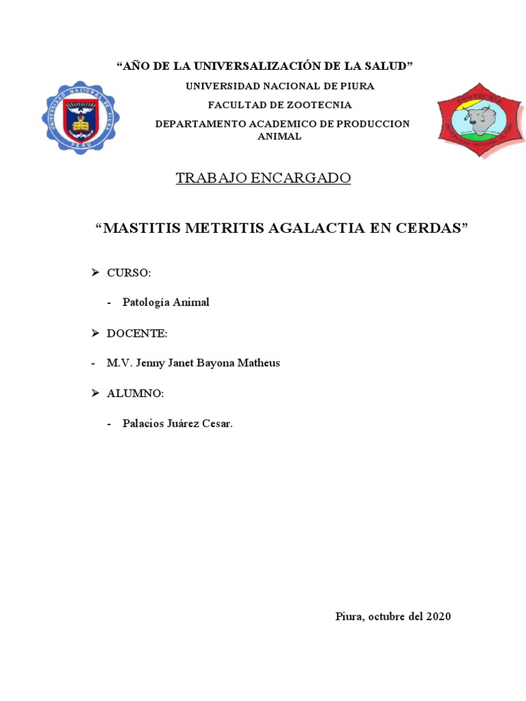 Mastitis Metritis Agalactia en Cerdas | PDF | Leche | Ciencias de la Salud
