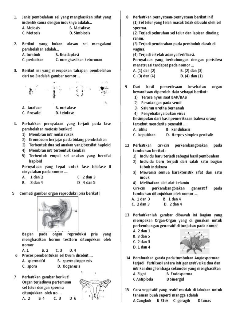 Iat PTS Sms Gansai 2022 Kis IX | PDF