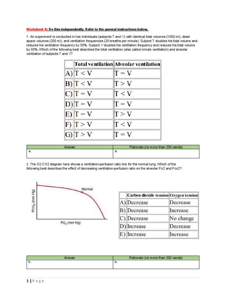 Worksheet_A (1) | PDF | Breathing | Lung