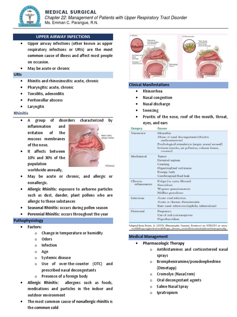 MS 1 Chap 22 | Download Free PDF | Common Cold | Diseases And Disorders